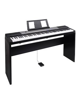 Electric Keyboards – Karrera
